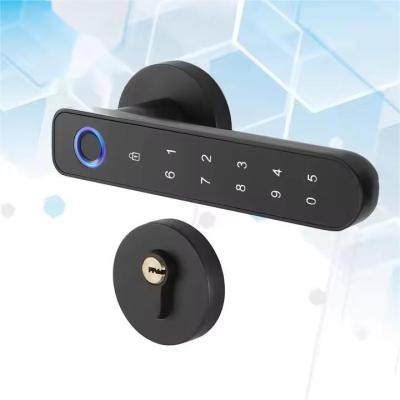 China Smart Digital Electronic Security Fingerprint Door Lock for  Card and Passcode Unlock with Smart Lock and Door Handle for sale