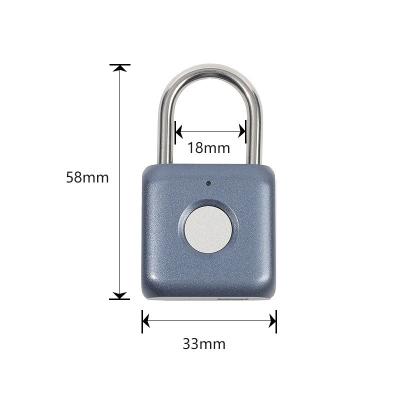 China Mini IP67 Smart Fingerprint Padlock Zinc Alloy ABS Panel 304 Stainless Steel Shackle for School Locker Travel Luggage Security for sale