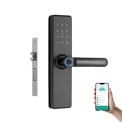 China 2025 Ford Ecosport Driver Side Brass Sliding Door Lock Handle Multi-Point Outdoor Smart Tuya for Cloud Data Storage Option for sale