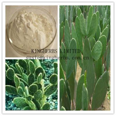 China China Cactus Extract  5:1 10:1 20:1 50:1, Yellow brown fine powder for sale