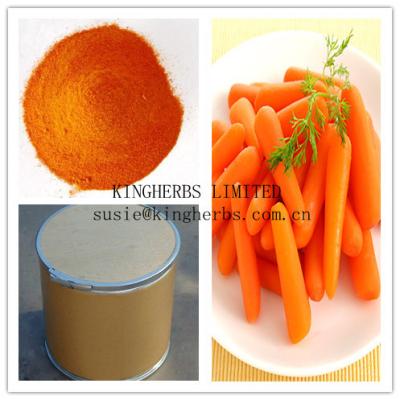 China China Carrot Extract Powder, 100% natural fine orange powder for sale