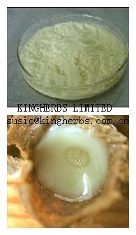 China China Bee Royal Jelly Powder Protein 43.30%,10-HAD: NLT 5%,milk yellow powder for sale
