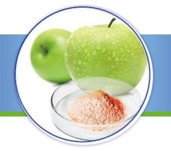 China China Apple Root Skin Extract, reddish brown powder for sale