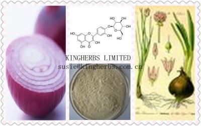China China Allium Cepa Extract 15% plant extract, yellowish brown powder, Susie Xu for sale