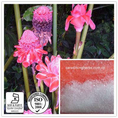 China China Zingiber Zerumbet Extract 98% HPLC, Colorless Crystal for sale