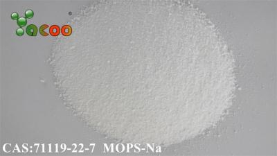 China MOPS-Na / Biological Buffer / MOPS sodium salt / CAS NO 71119-22-7 98% for sale