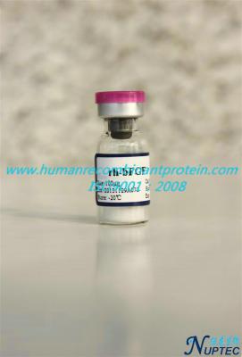 China Skin care , cosmetics , Basic Fibroblast Growth Factor ( bFGF ) for  pharmaceuticals for sale