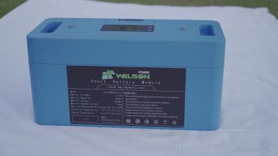 Cina Batteria 12V 12.8V 48V 100ah 150ah 200ah 300ah 400ah di Ion Phosphate 48V Lifepo4 del litio in vendita