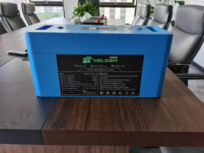 Cina litio Ion Battery Bms Module IP54 di 48V 120Ah 12v 400ah in vendita