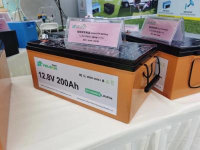 China Deep Cycle Lion Lithium Rv Battery 100ah 12v 24v Enhanced Flooded Dual Purpose Marine for sale