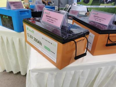 Cina Batteria ricaricabile Lifepo4 300ah della Camera di WelsonPower caravan profondo del litio del ciclo rv della batteria da 12 volt in vendita