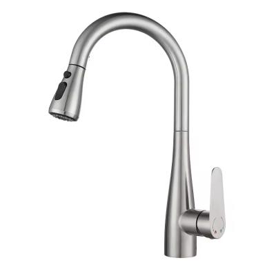 China Household Mixer Taps Brushed 304 Stainless Steel Single Handle Pull Out Kitchen Tap Extender for sale