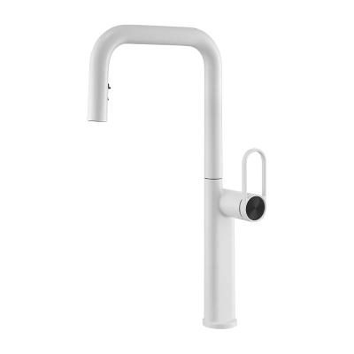 China Brand New Luxury Gourmet Spring Kitchen Sinks Pull Out Kitchen Faucet Extension for sale