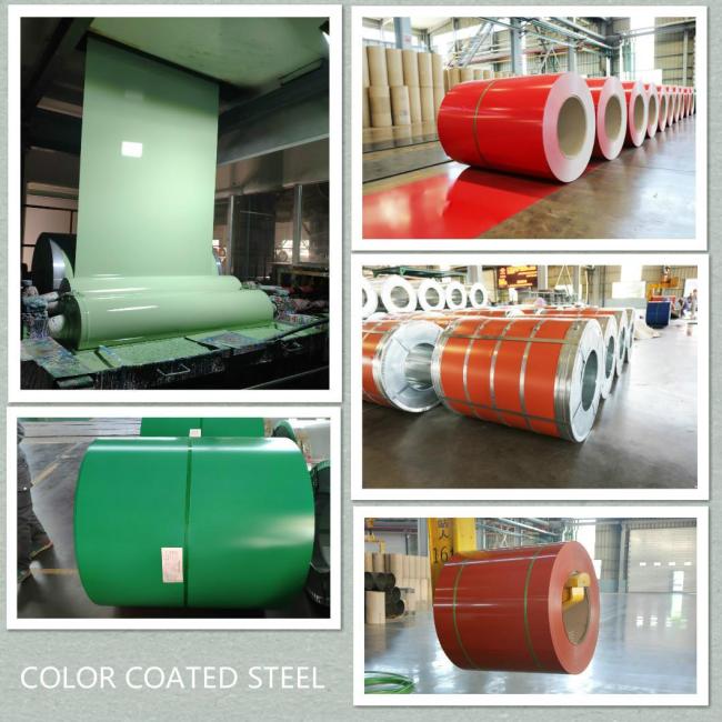 Pre-Painted Galvanized Steel Coil (Ral standard) PPGL