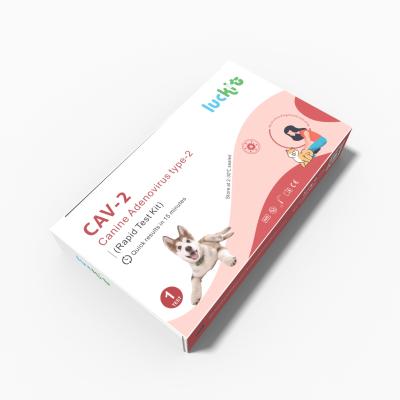 Cina 5-15 minuti Canineadenovirus tipo 2 CAV-2 Pet Test rapido Reazione rapida Classe I rapida in vendita