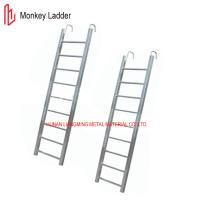 Quality Q235 Pre Galvanized Cat Ladder For Frame Scaffolding System for sale