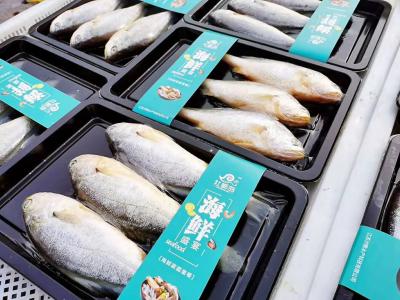 China Vacuum Skin Packaging Machine Fish Seafood Fruits Meat Sausage Beef Skin Food Meat Fish Rice Fruit Vegetable Vacuum Seal for sale