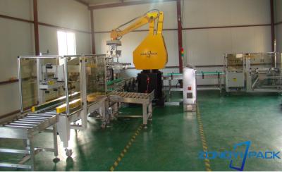 China Lay Cartons Plastic Robot Palletizer Machine Fully Automatic Metal for sale
