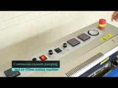 De automatische Ononderbroken verzegelende machine van de Hitte plastic zak/Zakverzegelaar