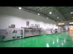 Azúcar de savia de palmera de la máquina de rellenar del equipo del polvo de la proteína que embala SUS304