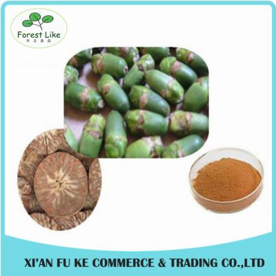 China Best Selling Product Free Sample No Additives High Ratio Promote Decrease of Blood  Effect  Areca Nut Extract for sale