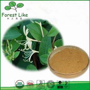 China Superior Quality Featured Product 5%-98%Chlorogenic Acid Honeysuckle Flower Extract for sale