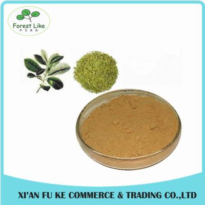 China Best Selling Natural Yerba Mate Extract for sale