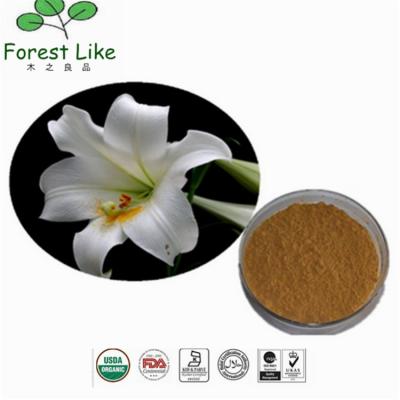 China Pure Natural Lily Extract Powder 10:1 for sale