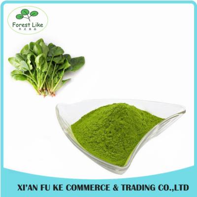China Vagetable P.E. Spinach Powder / BoBcai Powder without Additive for sale