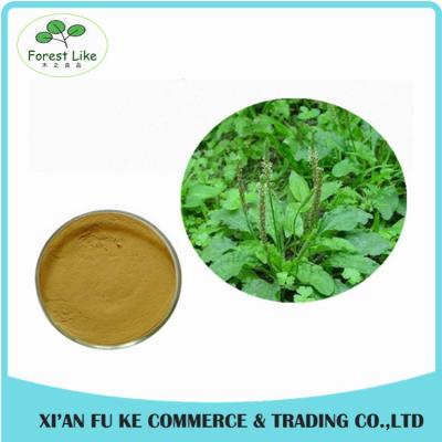 China Lowest Price Best Quality Plantain Extract for Skin and Cancer for sale