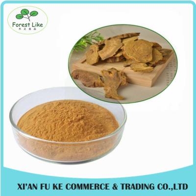 China Traditional Chinese Herb Medicine Anti-tumor Product Dried Rhubarb Extract for sale