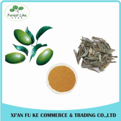China High Quality Olive Leaf Extract Oleuropein 25% for sale