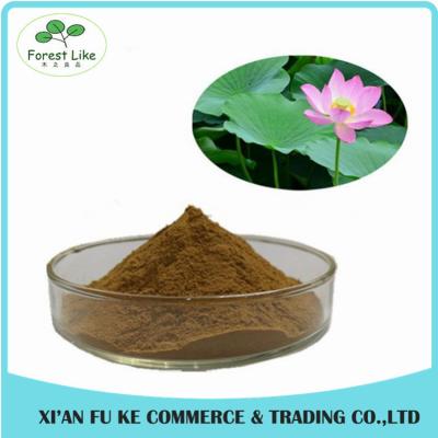 China Chinese Herb Medicine Loss Weight Product Lotus Leaf Extract Powder for sale
