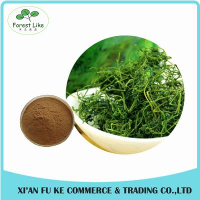 China Wholesale Natural Saponins 20 %- 98 % Gynostemma Extract for Lower Blood Pressure and Lipid for sale