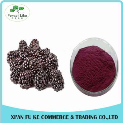 China Hight-quality Instant Freeze Dried Mulberry Extract Fructus Morin Powder for sale