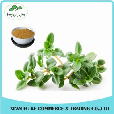 China New Design Spices Product Antibacterial Effect Dry Thyme Leaf Extract for sale