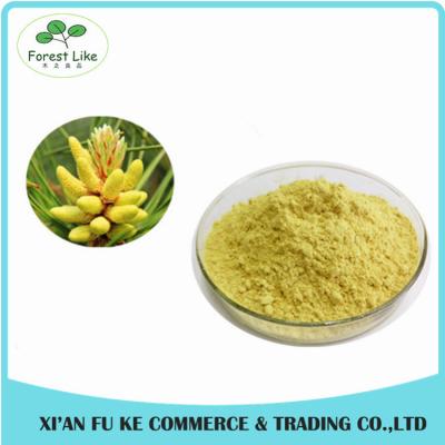 China Pure Natural Meadow Pine Extract Powder 4:1 - 20:1 for sale