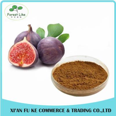 China Fig Extract Powder/ Fig Extract for Herbal Medicine for sale