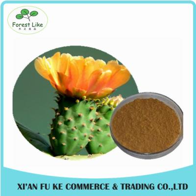 China Factory Price Natural Cactus Extract / Cereus Extract for Medicine for sale