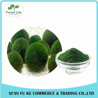 China Nutrition Additive Raw Material of Cosmetic New Aga Product Chlorella Extract Powder for sale
