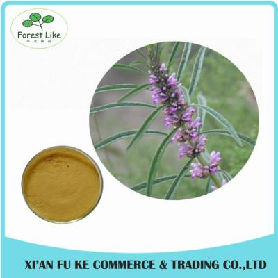 China Clear Heart and Regulate Menses Natural Motherwort Herb Extract for sale