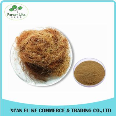 China Manufacturer Direct Price Organic Corn Stigma Extract for sale