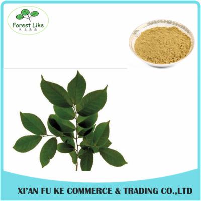 China Zero Profit Pure Fine Skin Care Bay Leaf Extract for sale