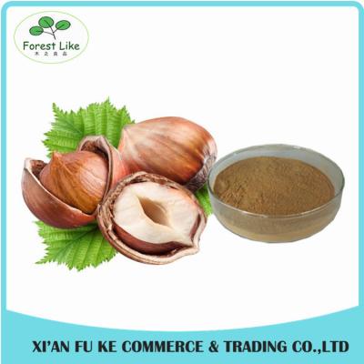 China Anti-oxident Product Hazelnut Extract Powder 5:1 - 20:1 for sale