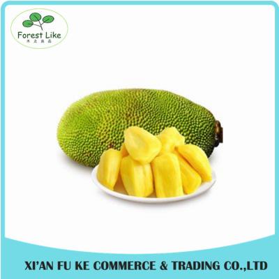 China High Quality Natural Jackfruit Extract Powder for sale
