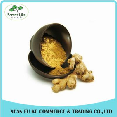 China 100% Natural Yellow Ginger Extract Powder 10 :1 for sale