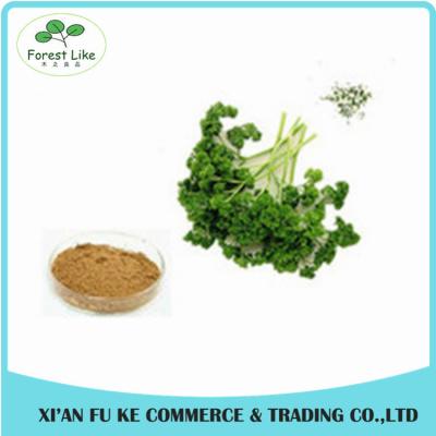 China Parsley / die Peterselie / prezzemolo Extract Powder for sale