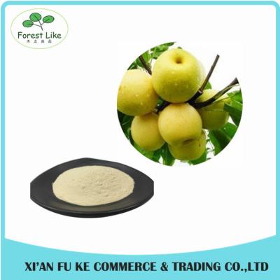 China Natural Sydney / Snow Pear Fruit Juice Powder for sale