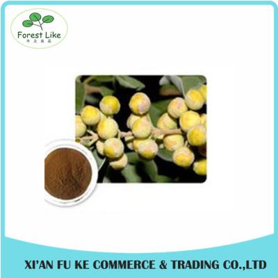 China 100% Natural Chaste Tree / Fructus Viticis Extract Powder for sale