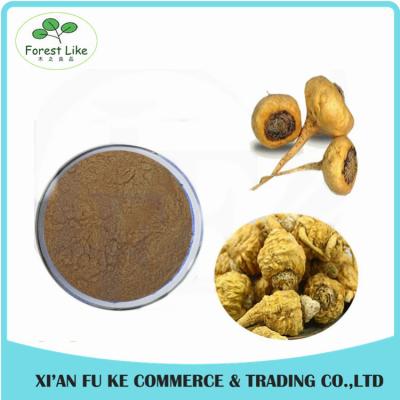 China Herbal Sex Powder Men Health-care Anti-fatigue Product Maca Root Extract Powder for sale